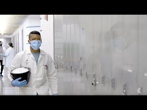MD/PhD Program at Icahn Mount Sinai