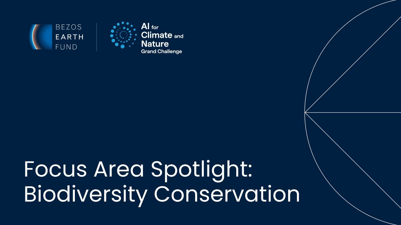 Focus Area Spotlight: Biodiversity Conservation // AI for Climate and Nature Grand Challenge