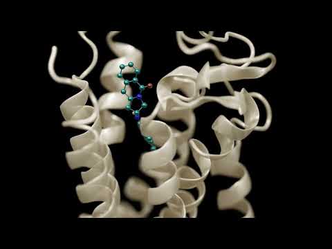 Generative AI Microservices for Virtual Screening with NVIDIA BioNeMo