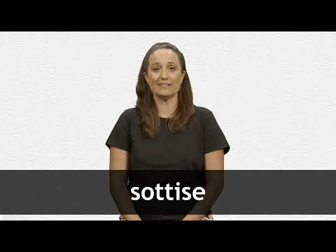 English Translation of “SOTTISE” | Collins French-English Dictionary