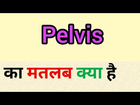 Pelvis meaning in hindi || pelvis ka matlab kya hota hai || word meaning english to hindi