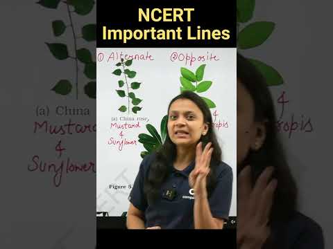 Meaning Of Phyllotaxy | Revision Biology NEET | NCERT important lines for NEET | #biology