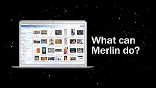MerlinX | Reviews, Pricing & Demos - SoftwareAdvice AU