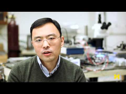 Prof. Wei Lu