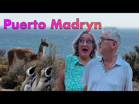 From City to Colony: Discovering Puerto Madryn and Punta Tombo, a Patagonia wildlife experience