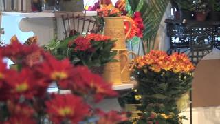 3 Best Florists in Kingston, ON - Expert Recommendations