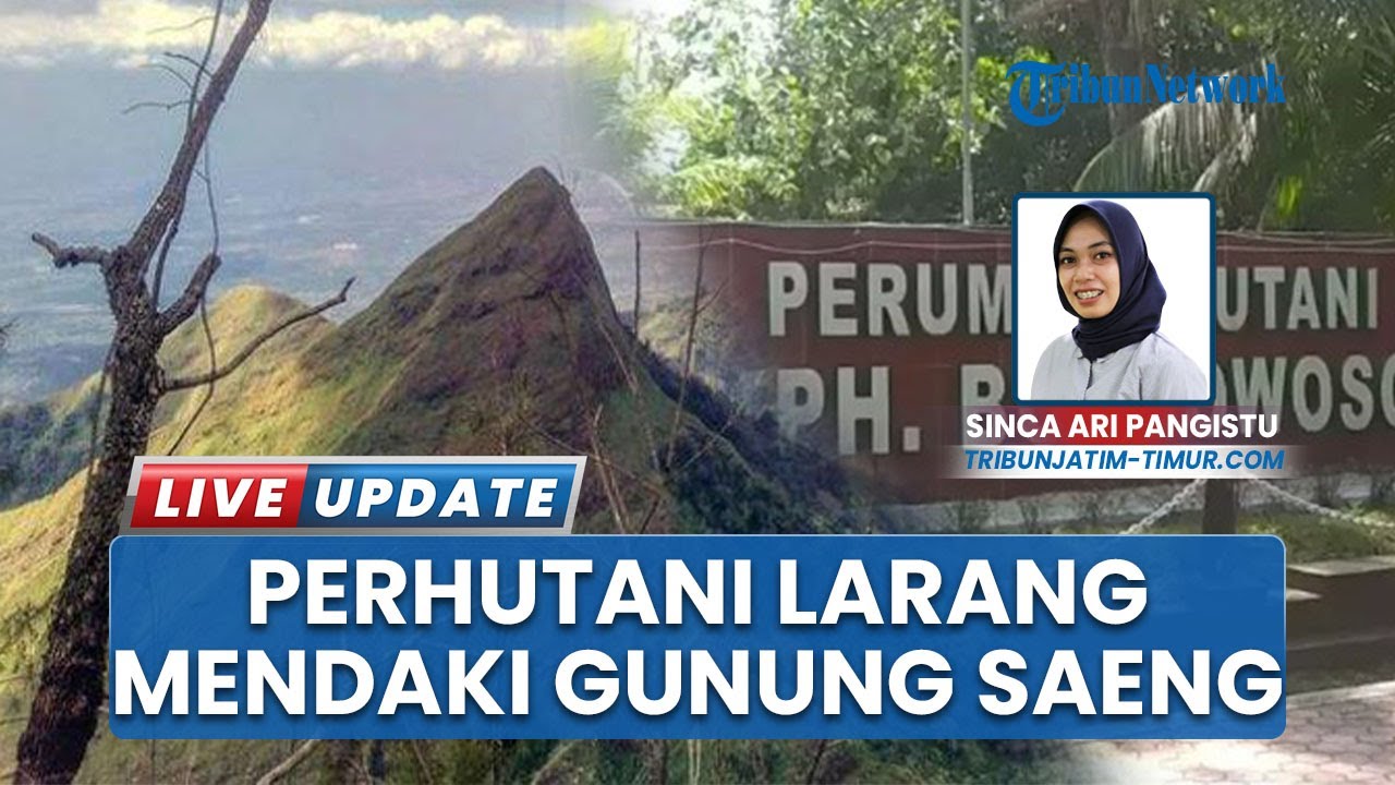Perhutani KPH Bondowoso Keluarkan Larangan Mendaki di Gunung Saeng ...