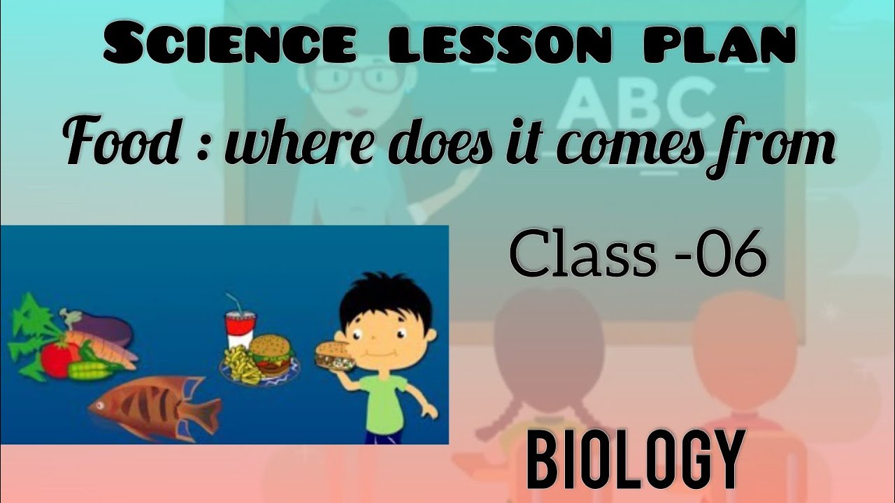 BIOLOGY LESSON PLAN | CLASS -6 | FOOD : WHERE DOES IT COMES FROM | B.Ed lesson plan