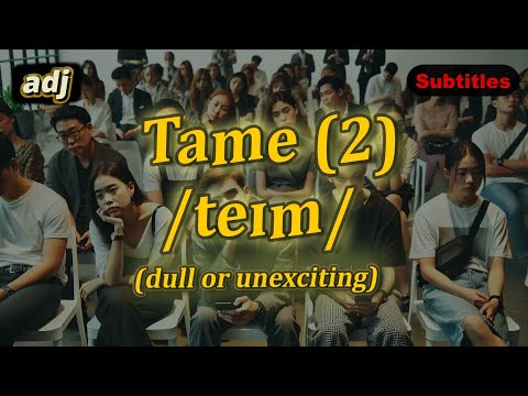 [adj] Tame meaning (dull or unexciting) with 5 examples
