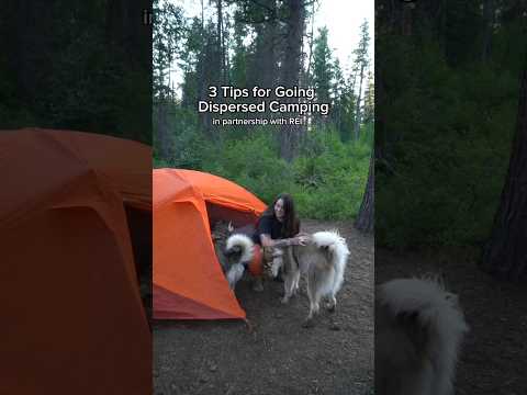 3 Tips for going dispersed camping🏕