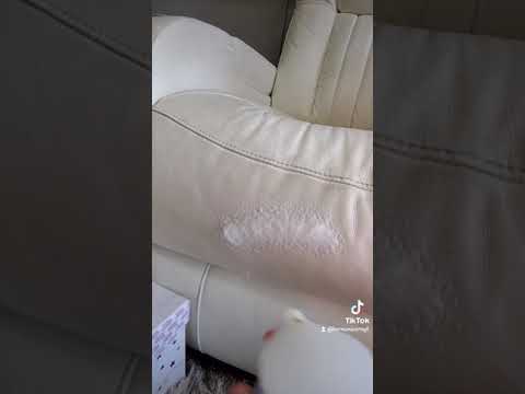 Cleaning My White Leather Couch #shorts