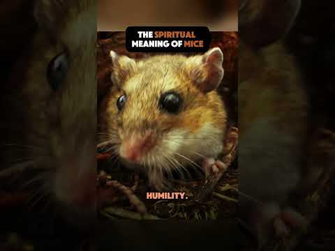 Spiritual Meaning of Mice #spiritanimal #mousemedicine #mouse #mice #shorts #spiritualmeaningofmice