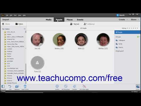 Photoshop Elements 2019 Tutorial The Organizer Environment Adobe Training