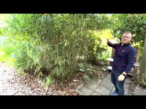 Behind the Scenes: Gardens of Georgia