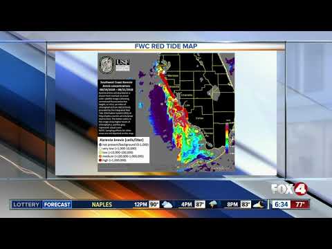 Updated FWC red tide map
