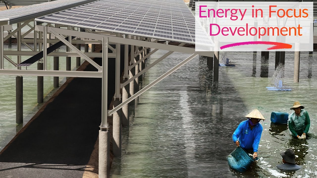Energy in Focus: Development