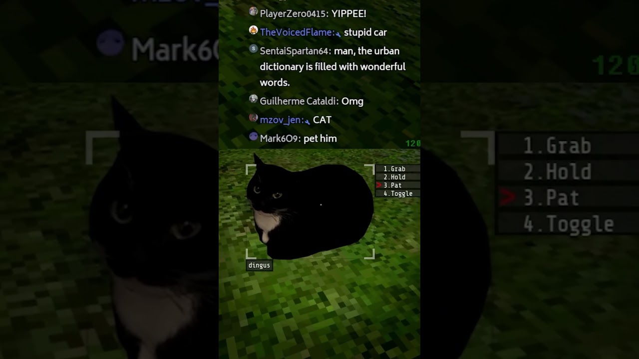 Found Maxwell in Voices of The Void #maxwell #gaming #votv #cat  #funny