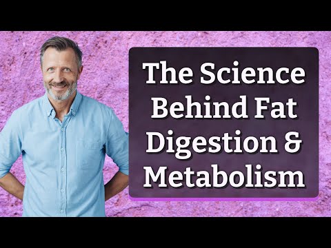 The Science Behind Fat Digestion & Metabolism
