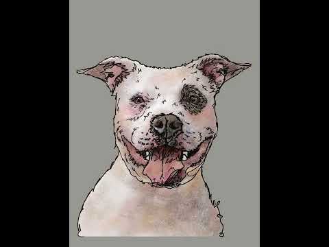 Custom Pet Portrait from Photo, Digitally Hand Drawn, Personalized Gift, Digital Drawing