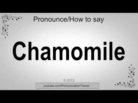 How to Pronounce Chamomile