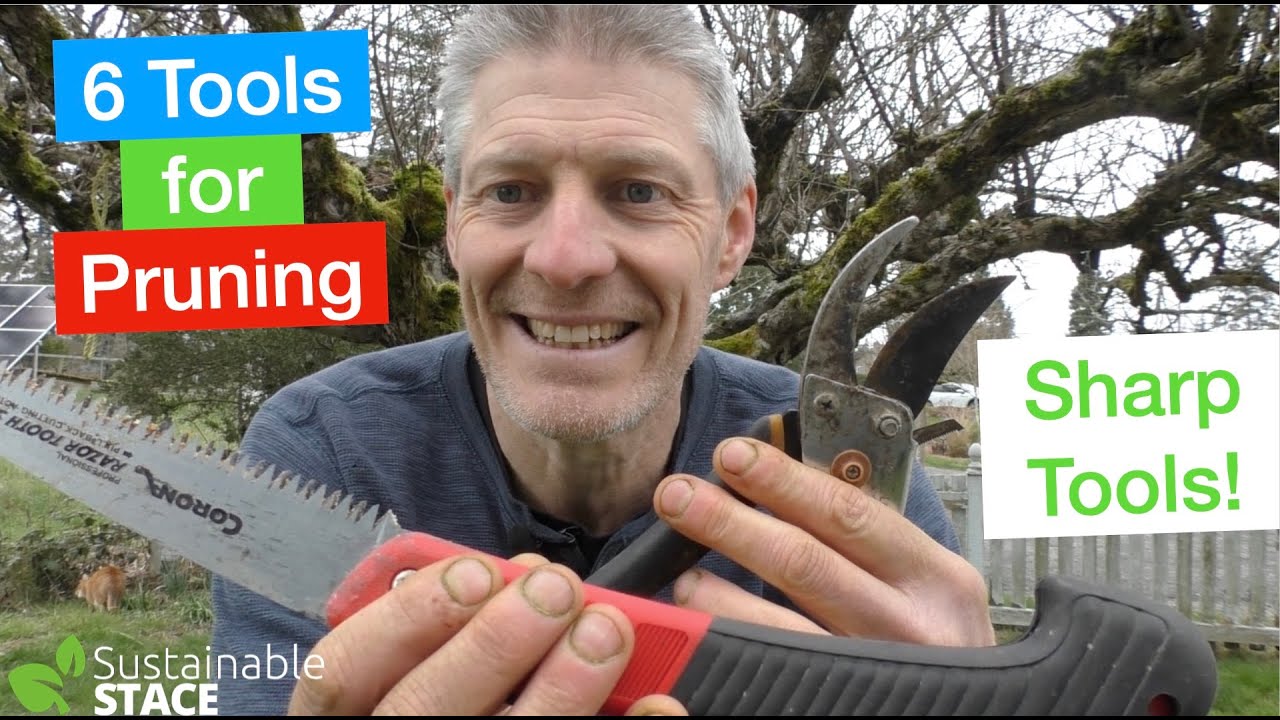 6 Tools for Pruning