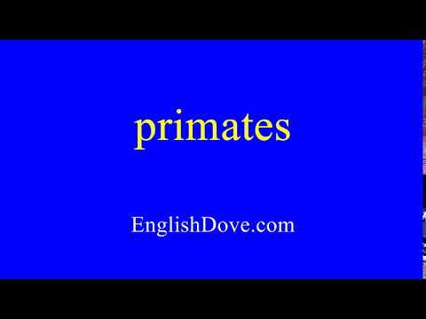 How to pronounce primates in American English.