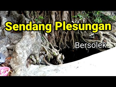 Sendang Plesungan