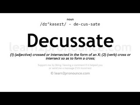Pronunciation of Decussate | Definition of Decussate