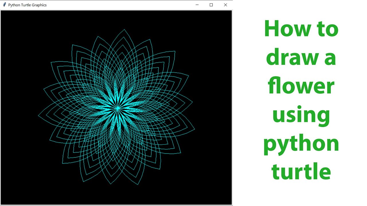 Python Flower Drawing Tutorial: Creating Stunning Floral Art with Turtle Graphics