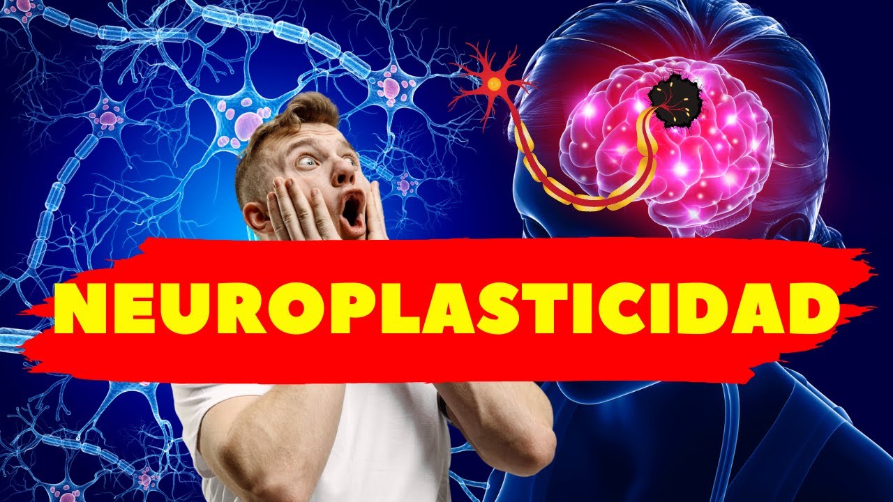 🧠NEUROPLASTICIDAD (Plasticidad cerebral)| NEUROCIENCIA
