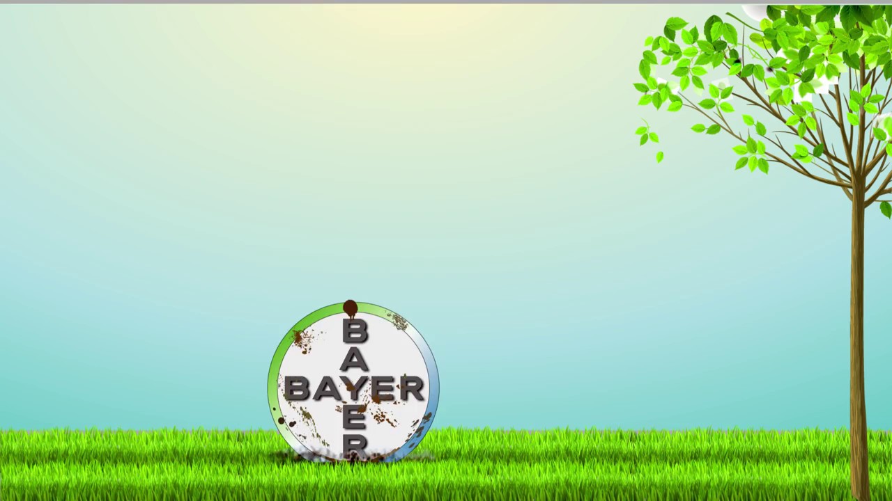 Logo Animation (Bayer)