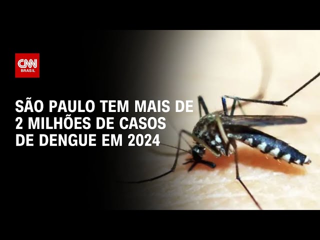 São Paulo tem recorde de casos de dengue em 2024; total ultrapassa 2 milhões | CNN Brasil
