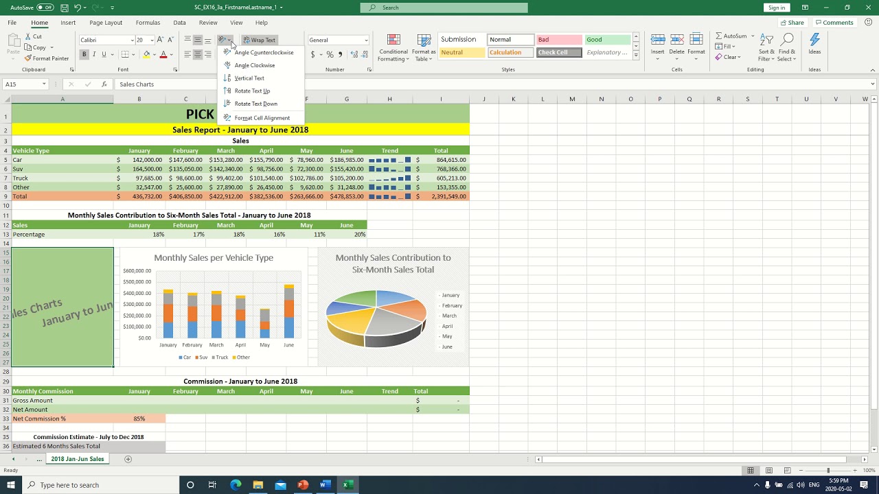 Excel Module 3