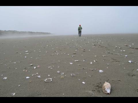 NCQPNSSM #217 [Marea baja, marea alta] (Parte 1)
