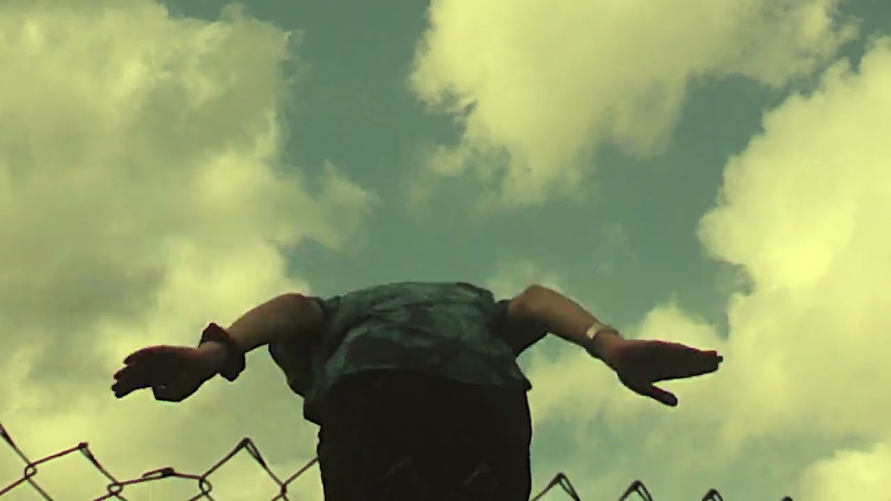 Neal Grosvenor - I Hate Moths