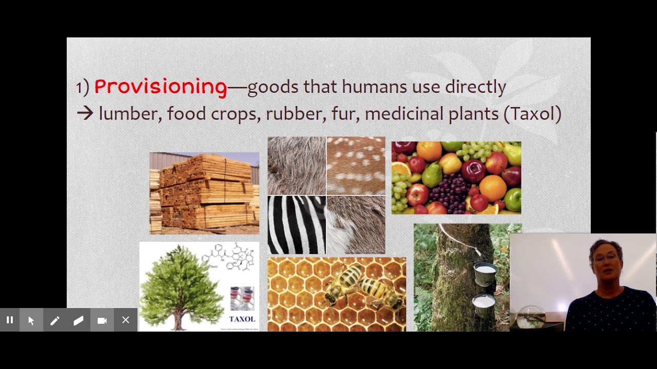 GRIFFITH-2.2 PPT Ecosystem Services 2020 - Google Slides