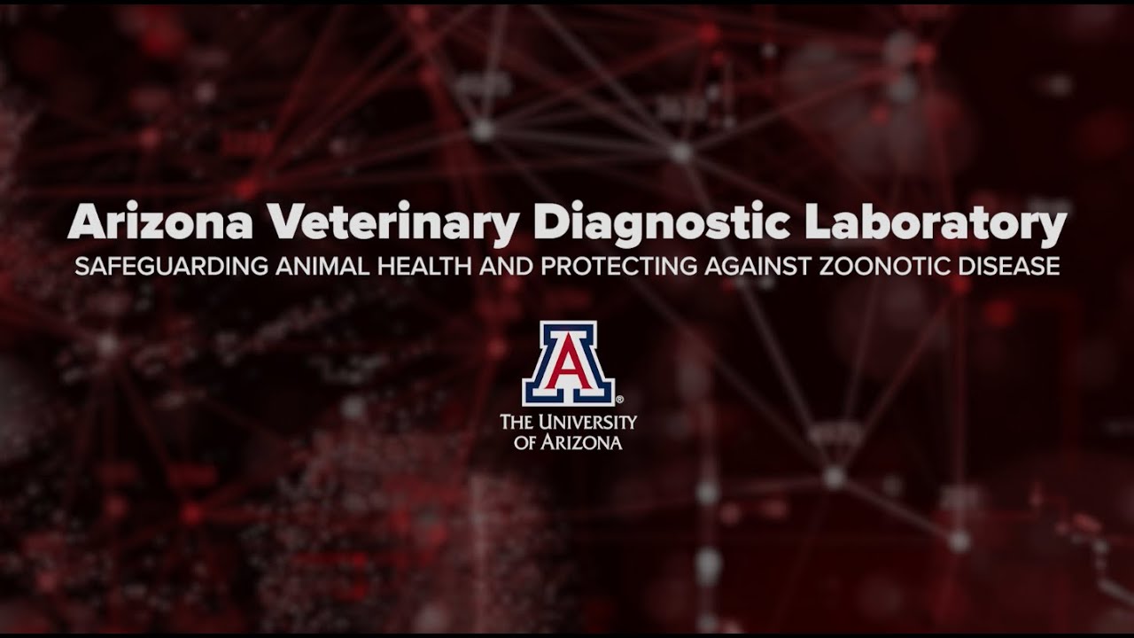 Arizona Veterinary Diagnostic Laboratory