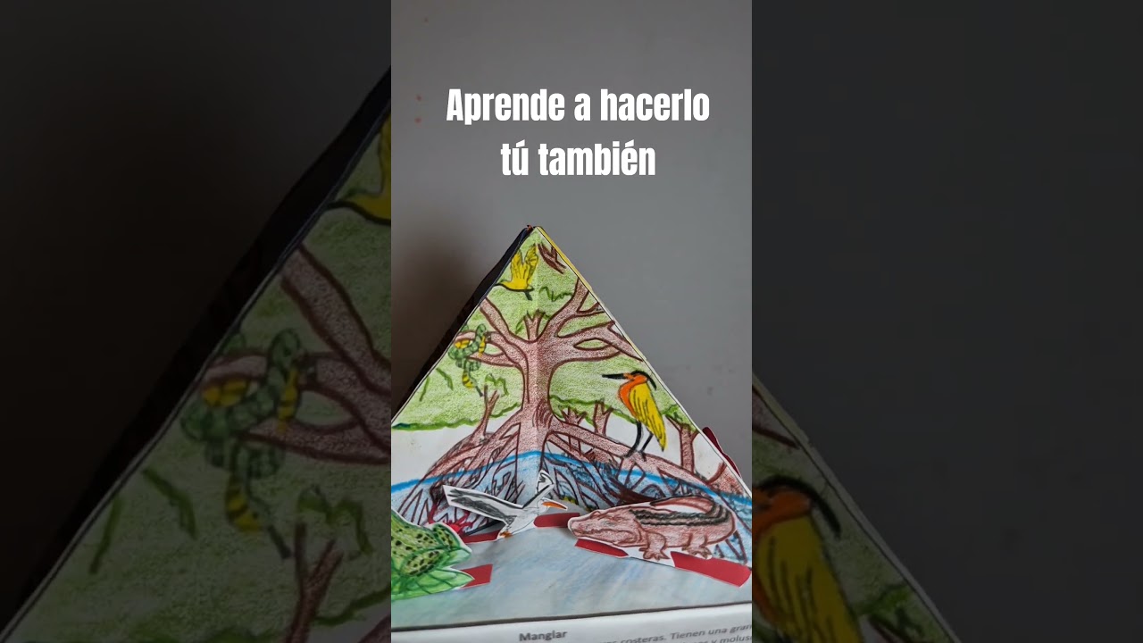Proyecto escolar: Triorama de 4 ecosistemas #manualidadescreativas