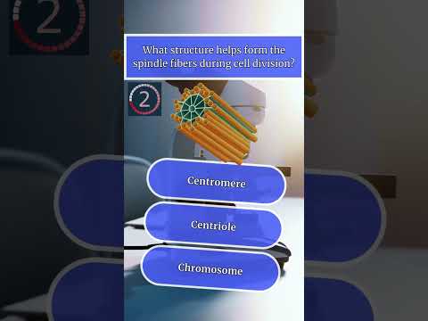 What structure helps form the spindle fibers during cell division? #medstudent #premed #quiz