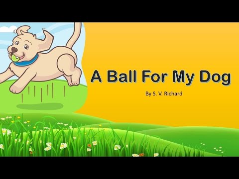 A Ball for my Dog | Pre-Primary to Grade 1 Reading Comprehension
