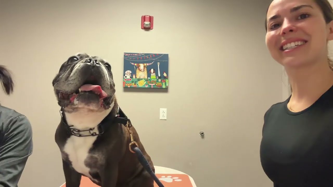 2026 NEW YEARS! Finn Vet Update, apt Update, Friends