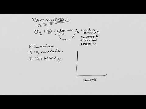 Factors that affect the rate of photosynthesis
