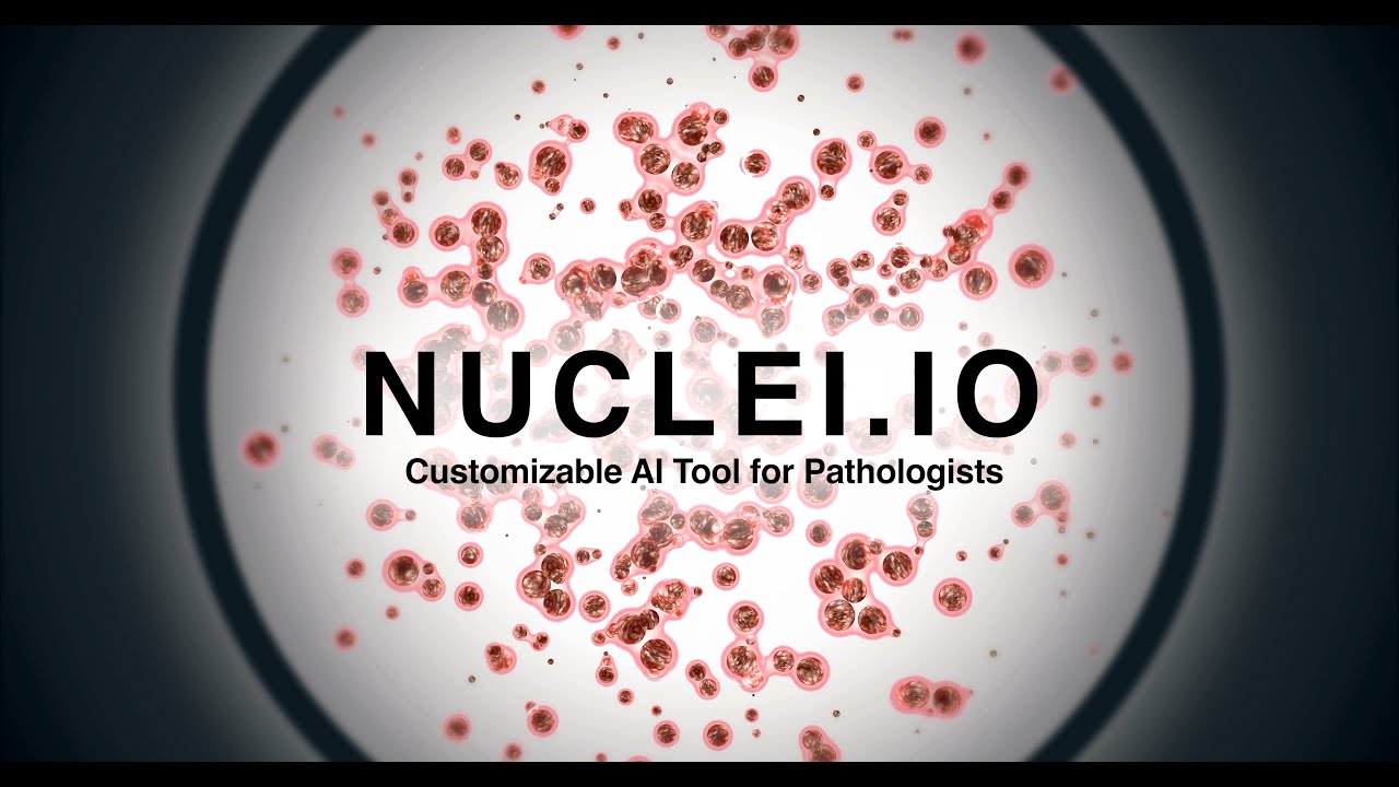 Customizable AI tool for pathologists | Innovating Health