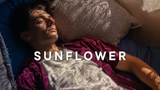 Sunflower - Film: Jetzt online Stream finden und anschauen