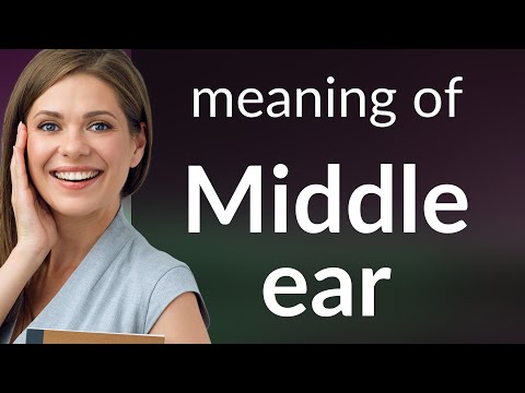 Middle ear • meaning of MIDDLE EAR