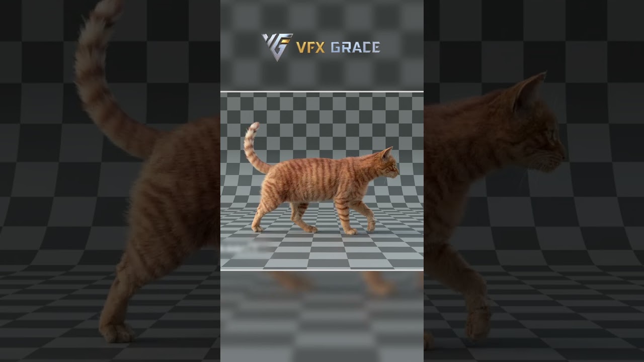Orange Cat 3D Model Showcase | Realistic and Cute Cat Model #3DModel #OrangeCat #AnimalModel #CGArt