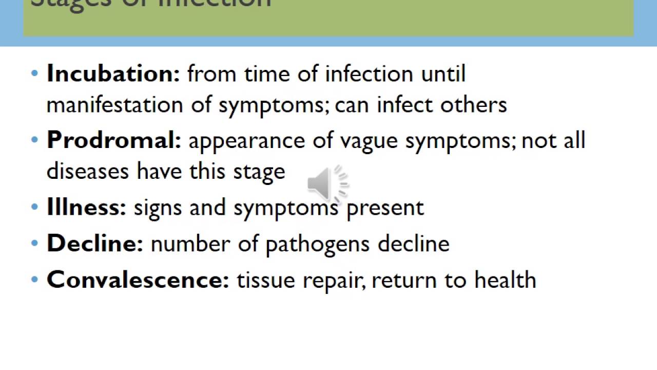 Chapter 23 PPT Student video