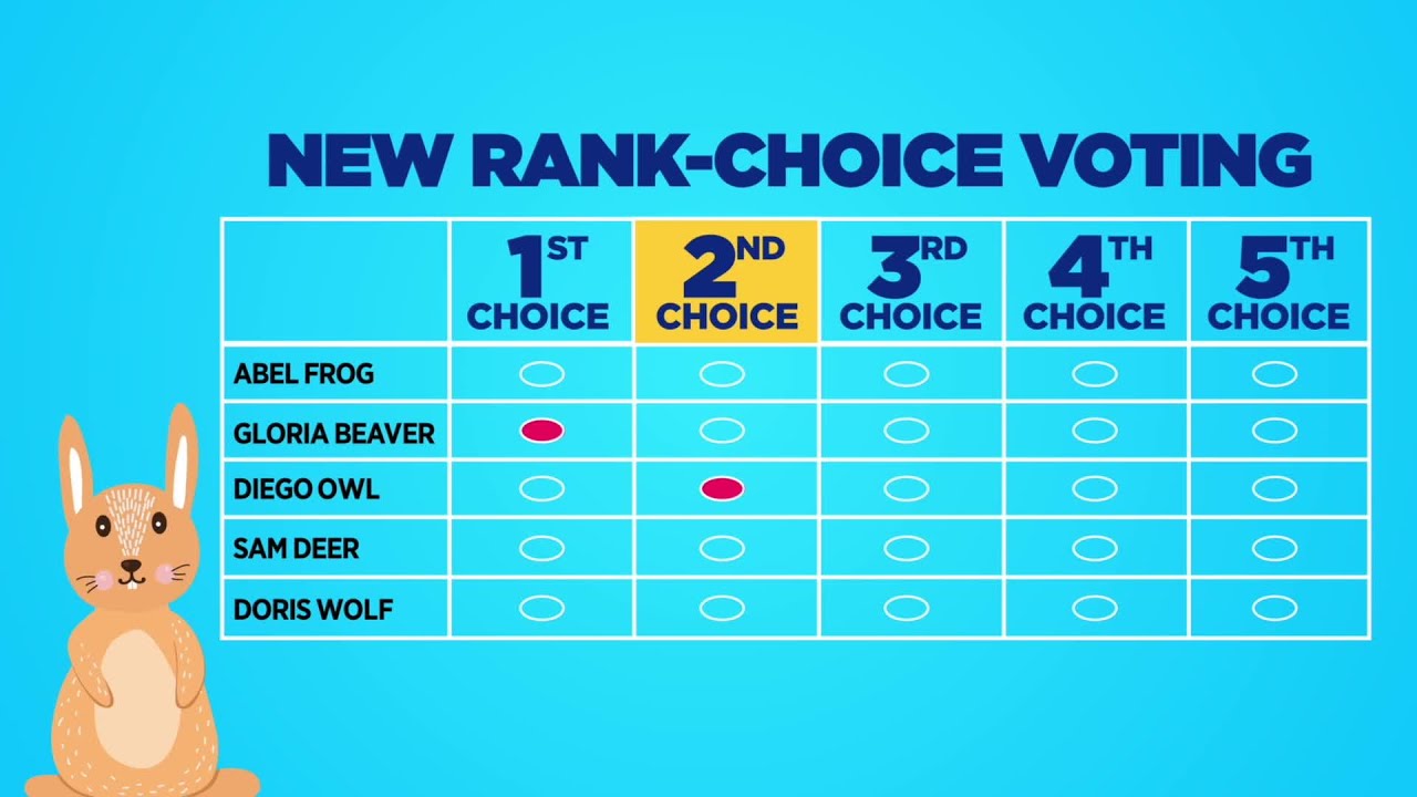 How Does Ranked Choice Voting Work?