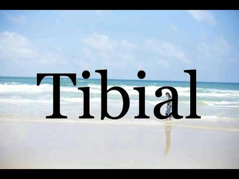 How To Pronounce Tibial🌈🌈🌈🌈🌈🌈Pronunciation Of Tibial