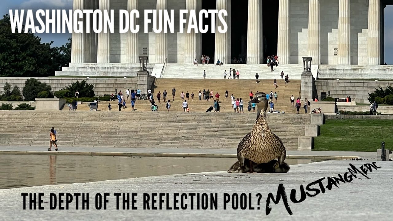 The Reflection pool depth Lincoln Memorial Washington DC MustangMedic reporting￼